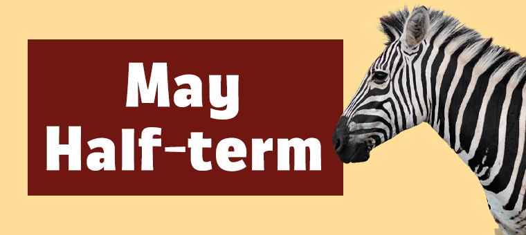 May Half-term at Africa Alive